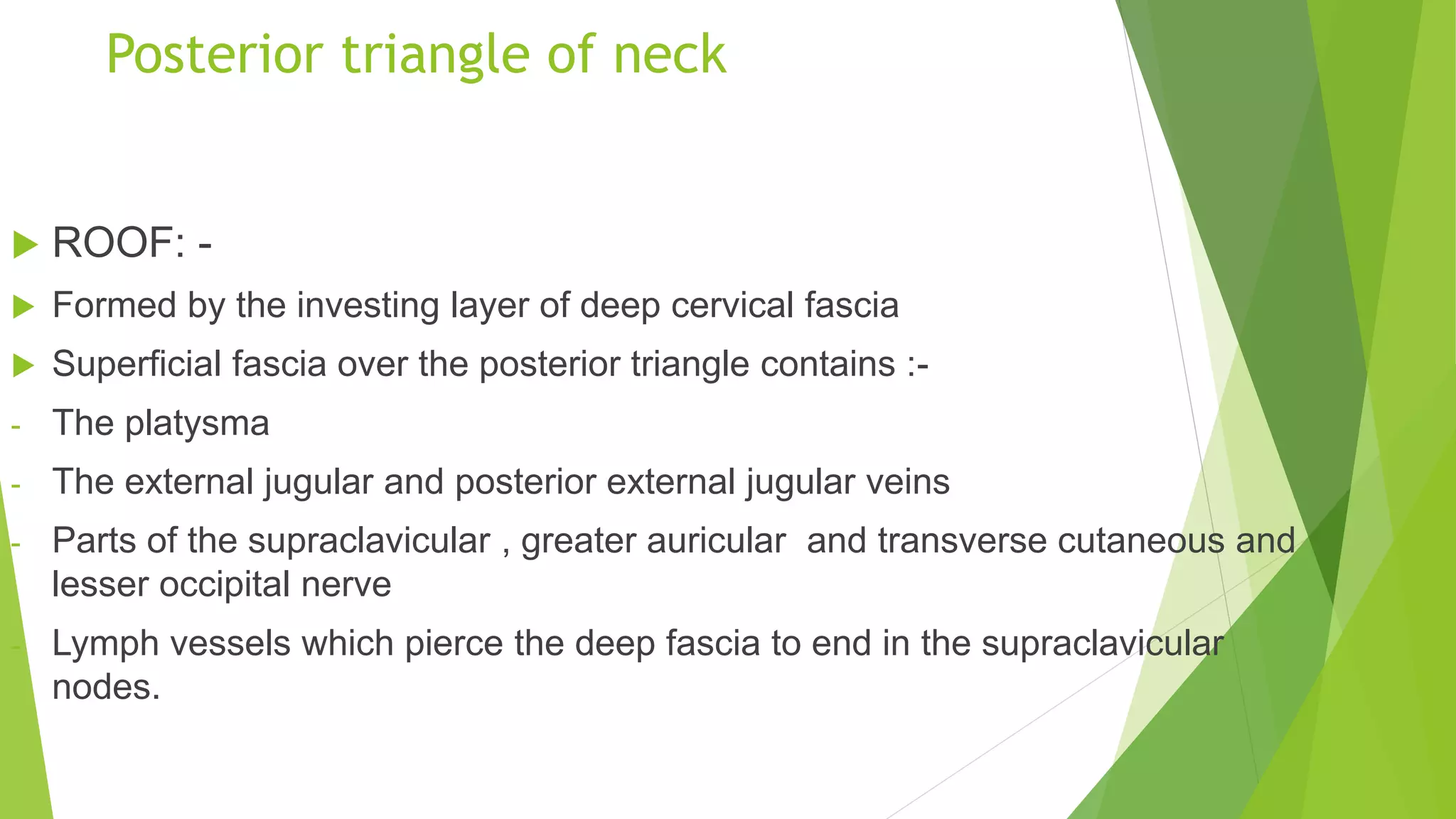 TRIANGLES OF NECK & APPLIED ANATOMY.pptx