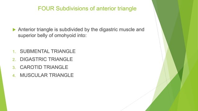 TRIANGLES OF NECK & APPLIED ANATOMY.pptx | Death, Injury, or Military ...