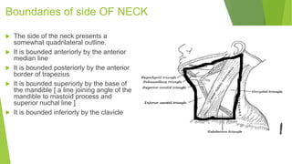 TRIANGLES OF NECK & APPLIED ANATOMY.pptx