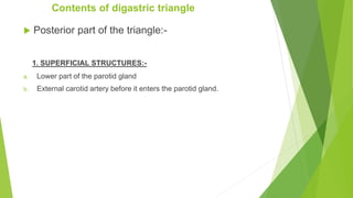 TRIANGLES OF NECK & APPLIED ANATOMY.pptx