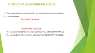 TRIANGLES OF NECK & APPLIED ANATOMY.pptx