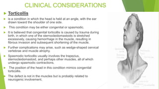 TRIANGLES OF NECK & APPLIED ANATOMY.pptx