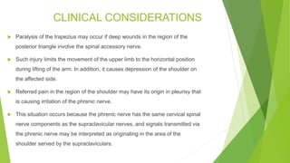 TRIANGLES OF NECK & APPLIED ANATOMY.pptx