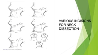 TRIANGLES OF NECK & APPLIED ANATOMY.pptx