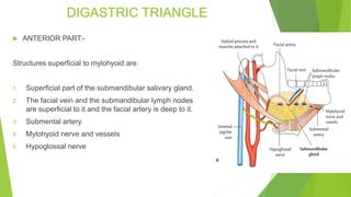 TRIANGLES OF NECK & APPLIED ANATOMY.pptx