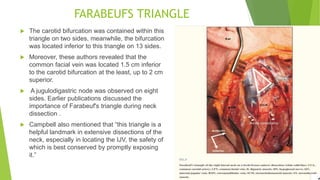 TRIANGLES OF NECK & APPLIED ANATOMY.pptx