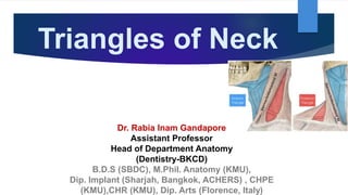 Triangles of Neck and Clinical Correlation by Dr. RIG.pptx