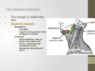 triangles of neck dr bushra.ppt ucmd anatomy | PPT