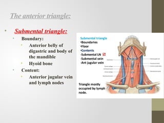 triangles of neck dr bushra.ppt ucmd anatomy | PPT