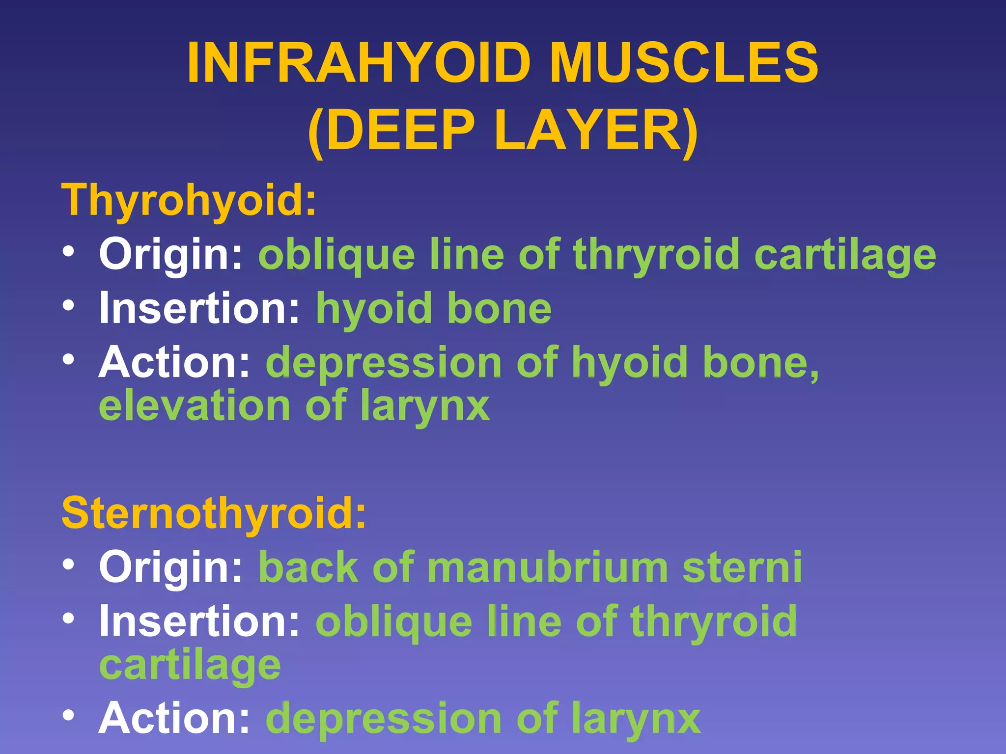 surgical anatomy of Triangles of neck | PPT
