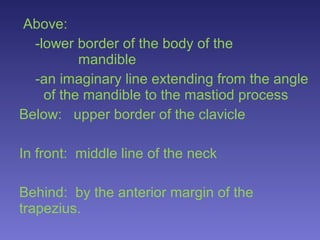 surgical anatomy of Triangles of neck | PPT