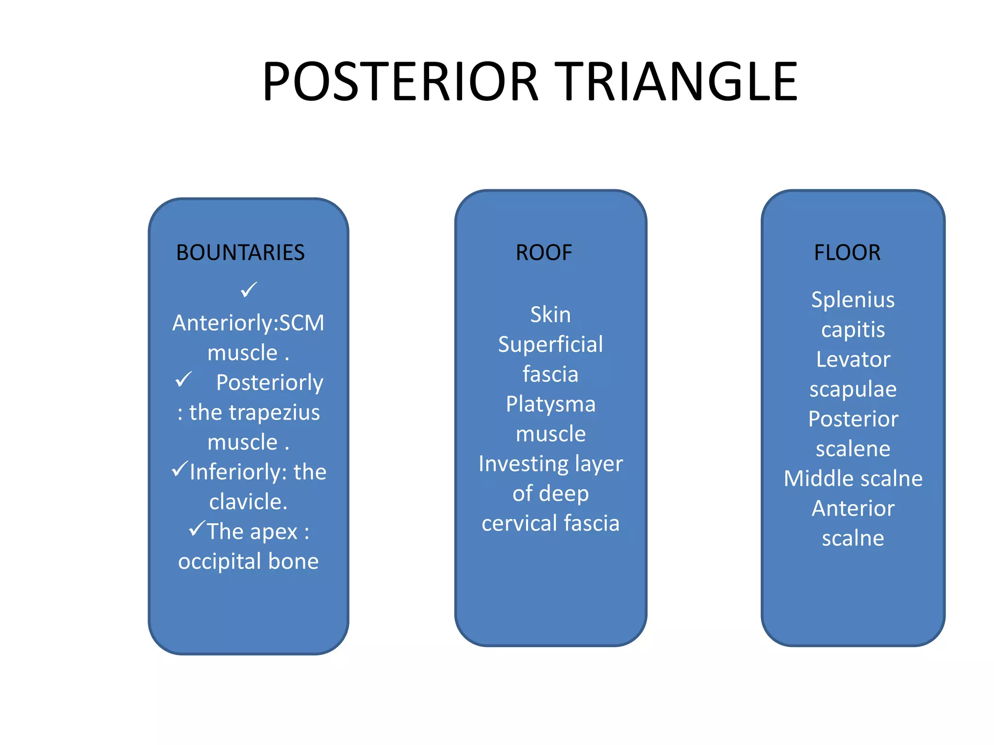 Triangles of neck_prvee[1] | PPTX | Death, Injury, or Military Conflict ...
