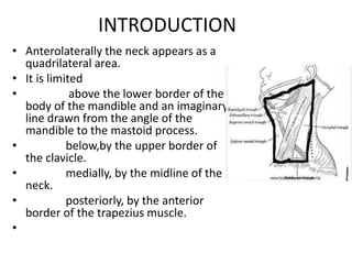 Triangles of neck_prvee[1] | PPTX
