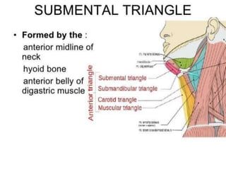 Triangles of neck & submandibular region | PPT