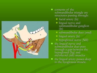 Triangles of the neck | PPT | Thyroid Disorders | Endocrine and ...
