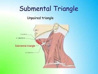 Triangles of the neck | PPTX