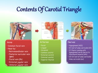 Triangles of the neck | PPTX
