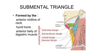 TRIANGLES OF THE NECK | PPTX
