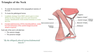 TRIANGLES OF THE NECK | PPTX