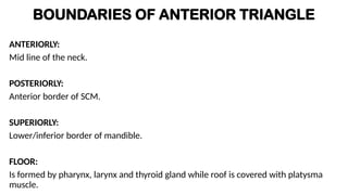 TRIANGLES OF THE NECK. Anatomy Skills112 | PPT