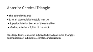 TRIANGLES OF THE NECK ANATOMY AND APPLICATION | PPTX