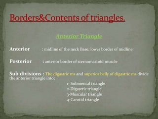 Triangles of the_neck[1] | PPT