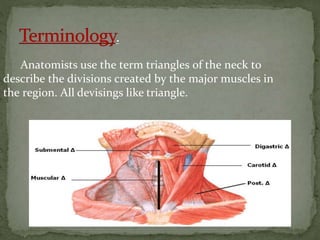 Triangles of the_neck[1] | PPT