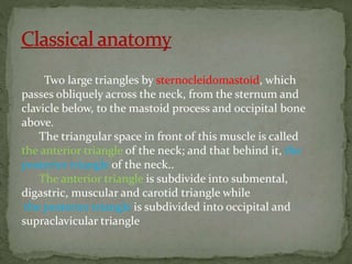 Triangles of the_neck[1] | PPT