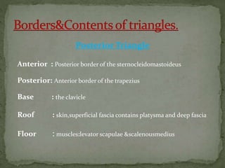 Triangles of the_neck[1] | PPT