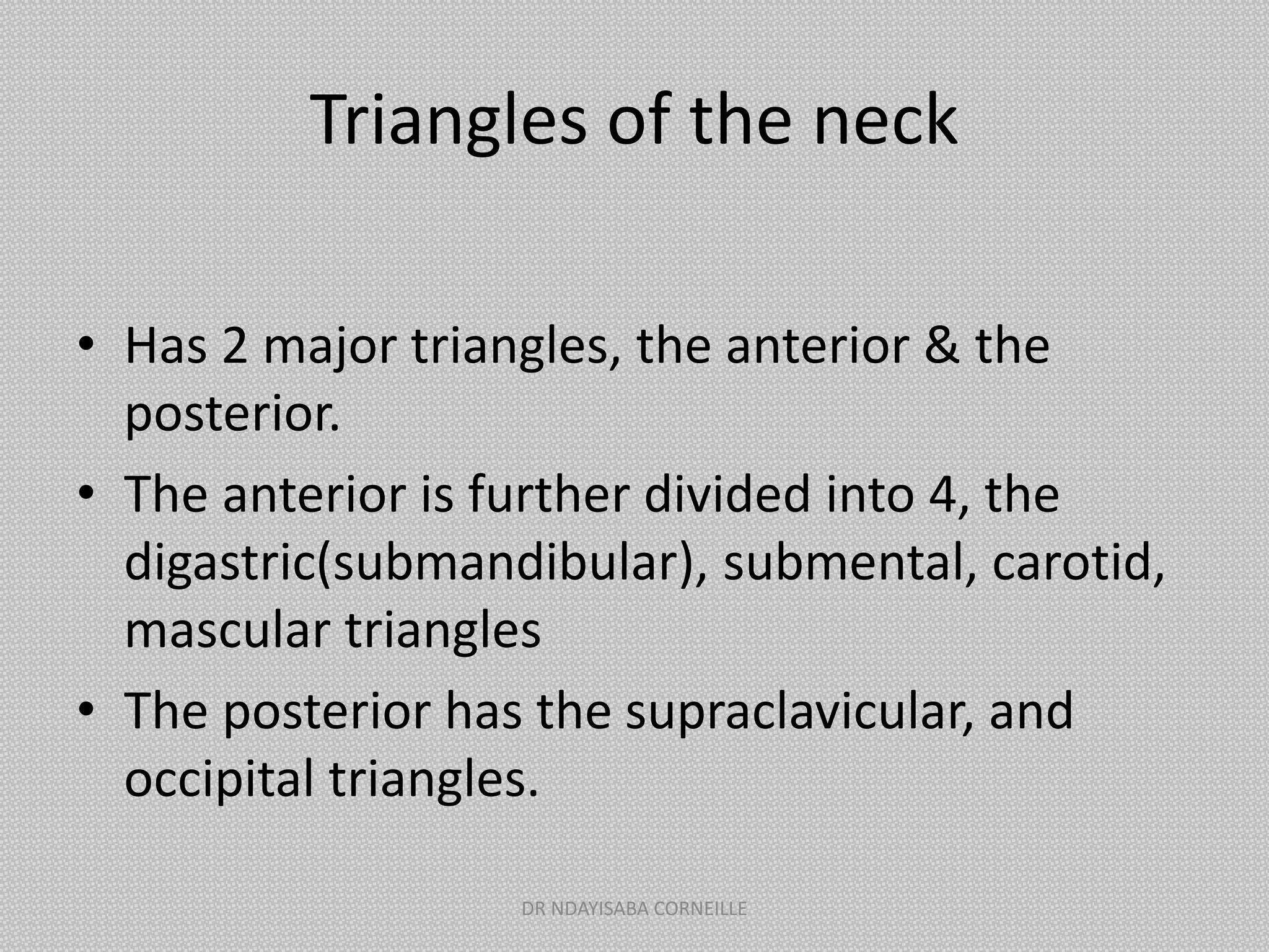 TRIANGLES_OF_THE_NECK.pptx