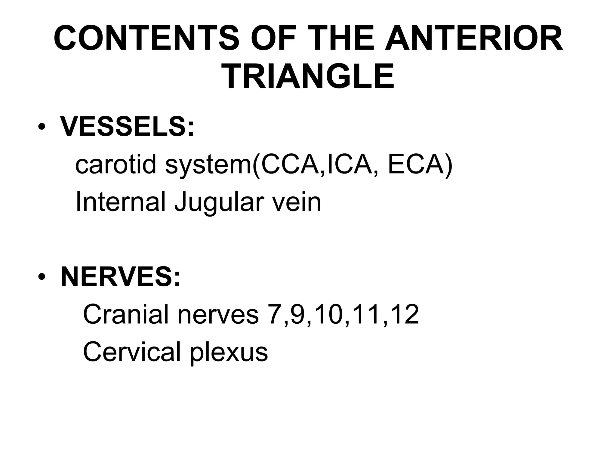 Triangles of the neck ppt year 1 | PPT