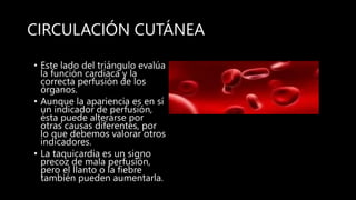 TEP TRIANGULO DE EVALUACION PEDIATRICA.pptx