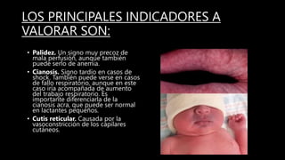TEP TRIANGULO DE EVALUACION PEDIATRICA.pptx