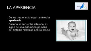 TEP TRIANGULO DE EVALUACION PEDIATRICA.pptx