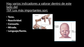 TEP TRIANGULO DE EVALUACION PEDIATRICA.pptx