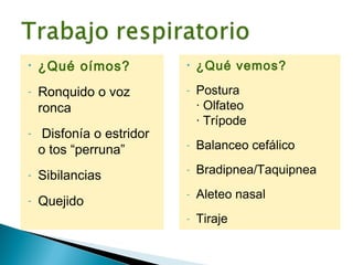 Triángulo evaluación pediátrica | PPT