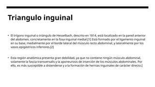 Triangulo inguinal.pptx trangulo de hesselbach.. | PPTX