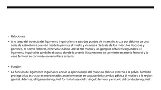 Triangulo inguinal.pptx trangulo de hesselbach.. | PPTX
