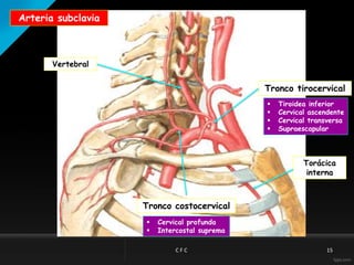 TRIANGULOS Y ARTERIAS DEL CUELLO UMAX.pptx