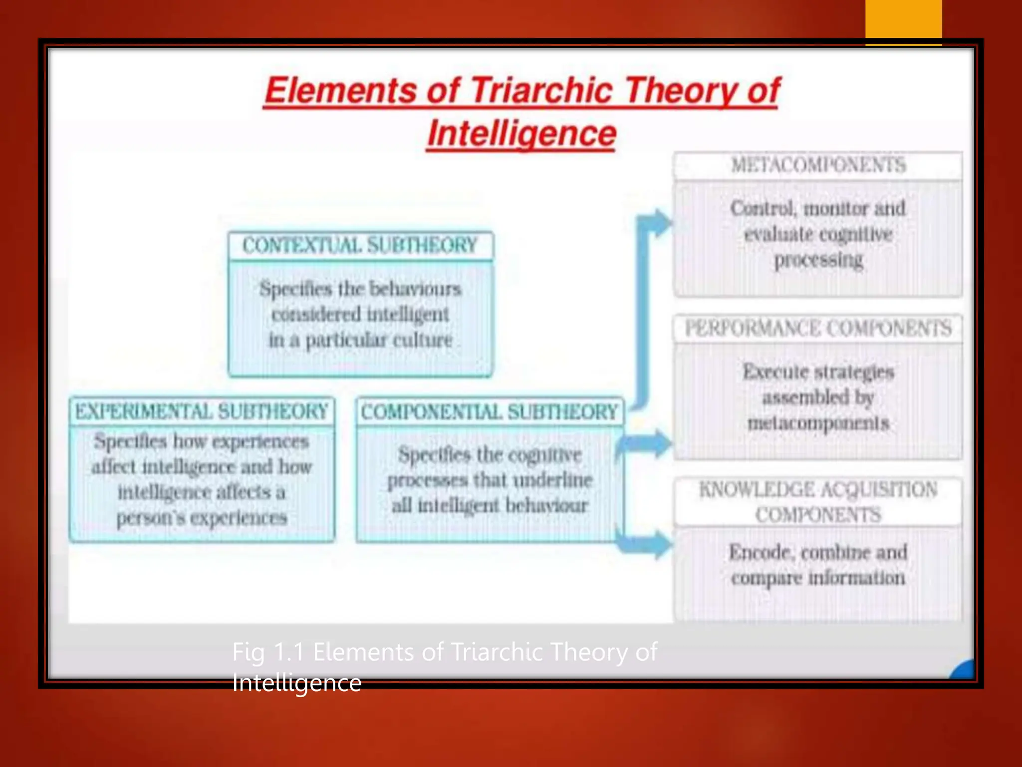 Triarchic Theory of Intelligence by Robert Sternberg (1) (1).pptx