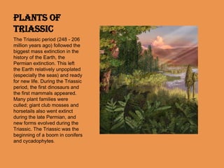 Triassic Plants