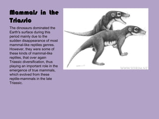 Triassic Mammals