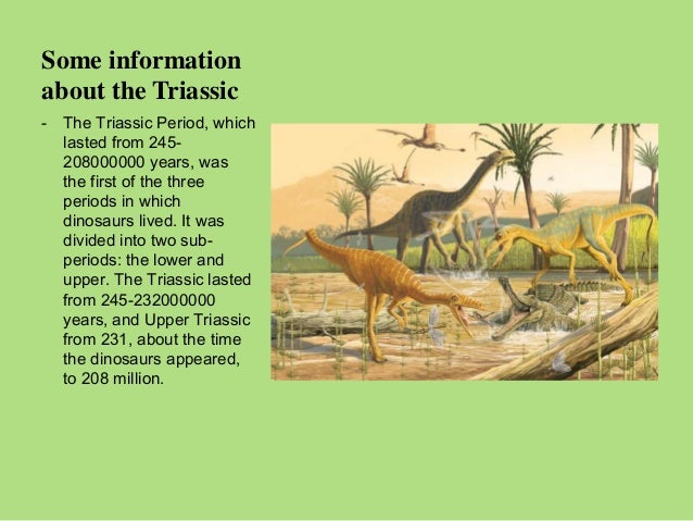 Life During The Triassic Period Life On Land During The Triassic