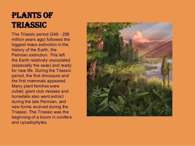 Earth Surface During Triassic Period