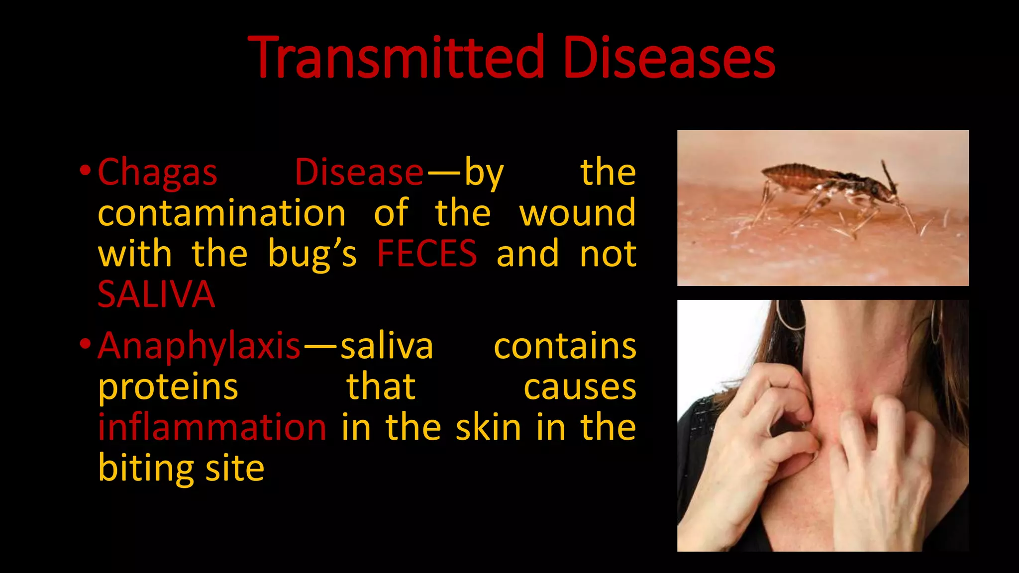 Triatomine bugs-053.pptx