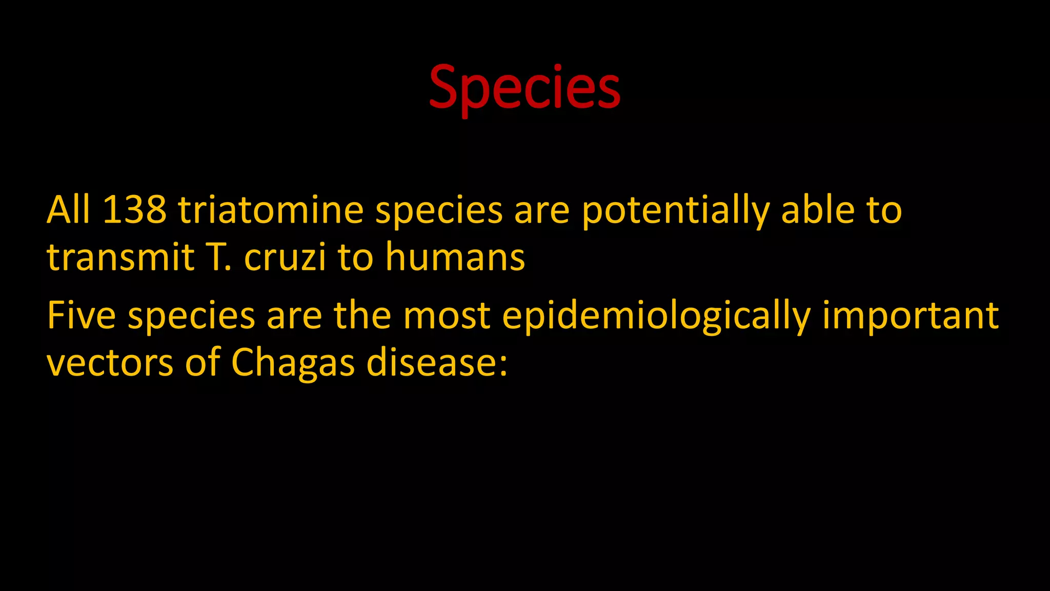 Triatomine bugs-053.pptx