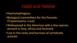 Triatomine bugs-053.pptx