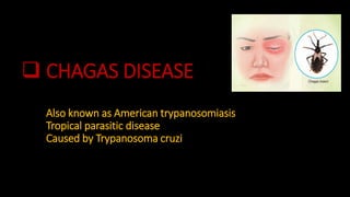 Triatomine bugs-053.pptx