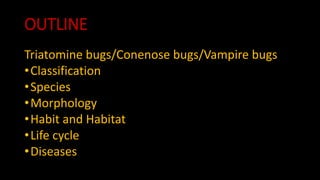 Triatomine bugs-053.pptx