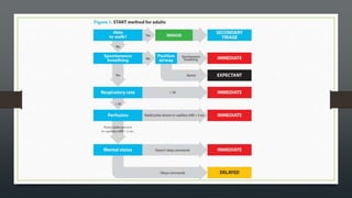 Triazhimi, kodet e triazhit | PPTX